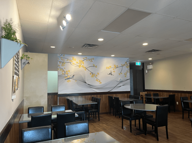 Panda Island Chinese Cuisine – A cozy family-run Chinese restaurant ...